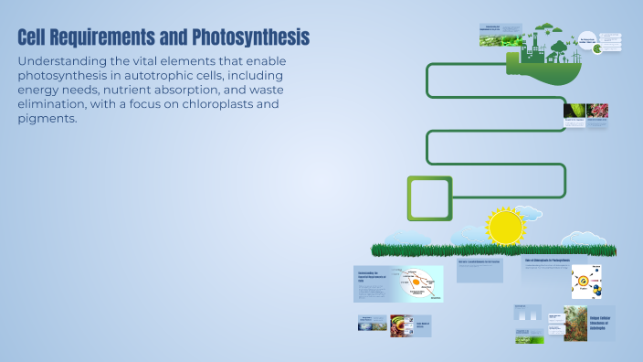 Cell Requirements and Photosynthesis by Princess Mutalib on Prezi