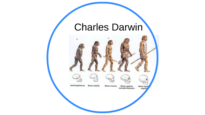 Hvad går darwins teori ud på by Patrick olsen on Prezi