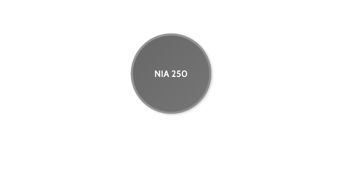 NIA 250 by Mario Luque Rojas on Prezi