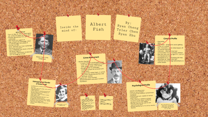forensic bulletin board by on Prezi