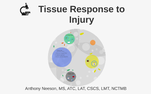 Tissue Response to Injury by Anthony Neeson on Prezi