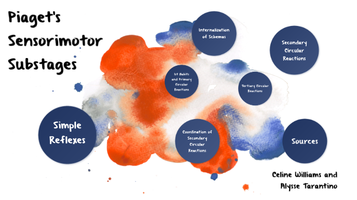 Piaget's Sensorimotor Substages by Celine Williams on Prezi