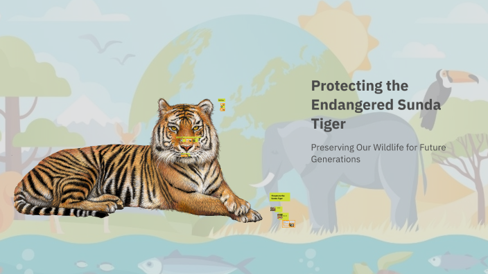 Protecting the Endangered Sunda Tiger by Matei Theodor Balasca on Prezi