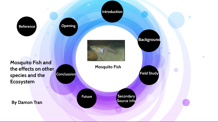 Mosquito Fish and the effects on other species and the Ecosystem by Damon Tran on Prezi