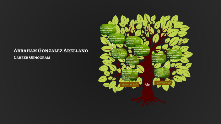 Career Genogram Abraham Gonzalez Arellano by Abraham Gonzalez on Prezi