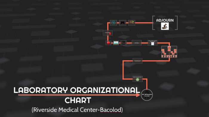 LABORATORY ORGANIZATIONAL CHART by Shaira Huelar