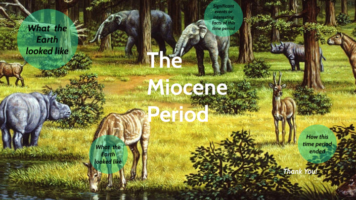 Miocene by Isabella Izaguirre on Prezi