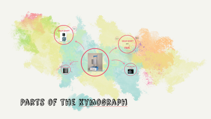 Parts of the kymograph by Cadel Renzo Rojo on Prezi