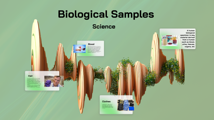 Biological Evidence: Hair by Sara Rustrian on Prezi