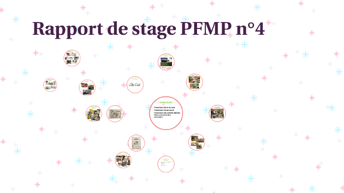 Rapport de stage PFMP n°4 by Angélina lopez on Prezi
