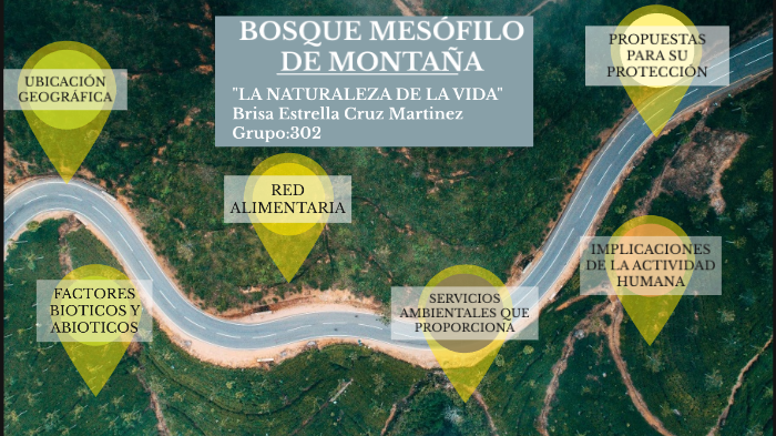 Bosque Mesófilo de Montaña by Brisa Cruz Martinez on Prezi