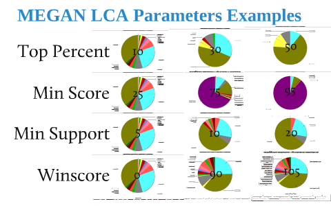 MEGAN LCA Parameters Example by Joseph Coco on Prezi