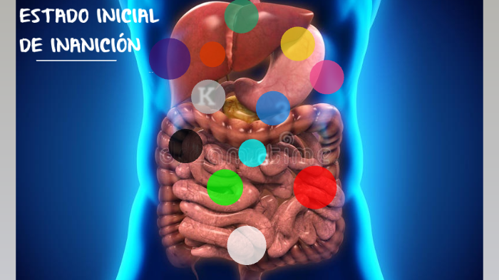 Estado Inicial de Inanicion by Gisell Andrea MOLINA CHAVEZ on Prezi