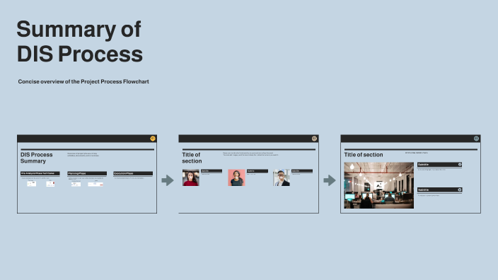 Summary of DIS Process by walaa mahmoud on Prezi