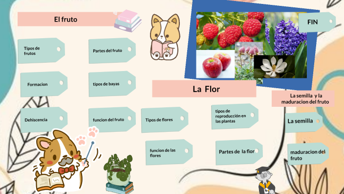 La flor y el fruto by Alejandro enrique sipiran sanchez on Prezi