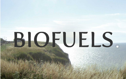 Biofuels (PROS and CONS) by Laura Barey on Prezi