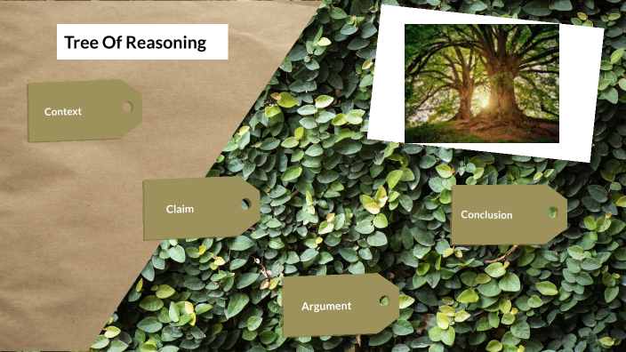 Tree of Reasoning by Sabrina Tevolini on Prezi