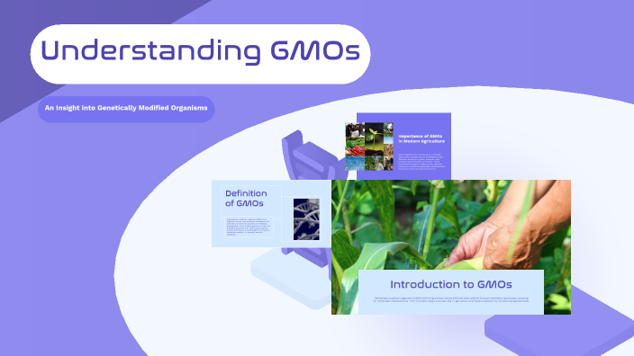 Understanding GMOs by Habab Ahmed on Prezi