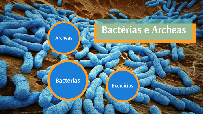 Reino Monera - Bactérias e as Arqueas by RAQUEL ARAUJO on Prezi