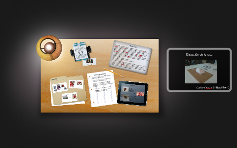 Disección de la rata by Trabajos Bachiller on Prezi