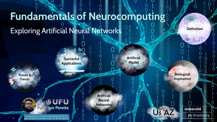 Fundamentals of Neurocomputing: Exploring Artificial Neural Networks by Igor Peretta on Prezi