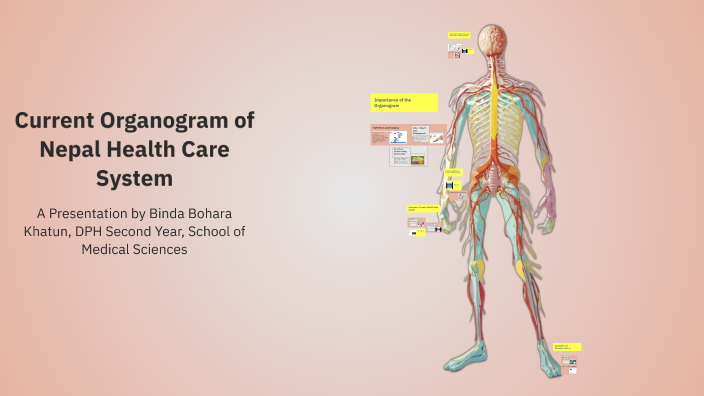 Current Organogram of Nepal Health Care System by Lakpa Chhiring on Prezi