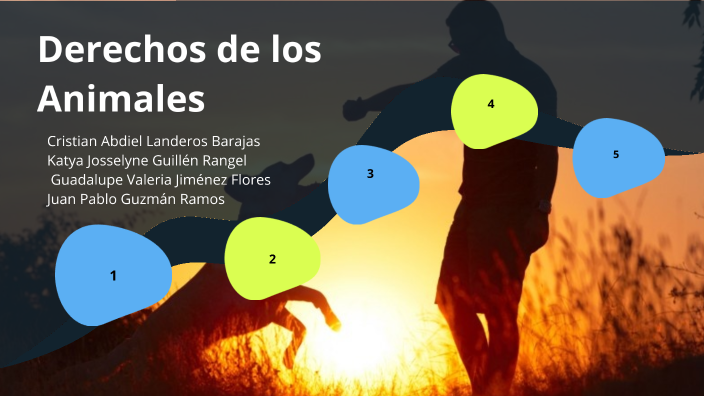 Derechos de los Animales by Paul John on Prezi
