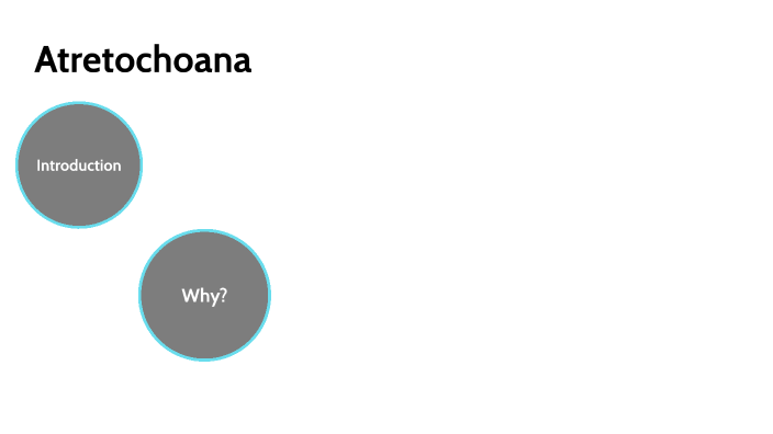 atretochoana by Lukas Duncan on Prezi