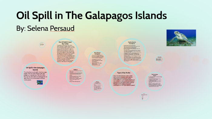 Oil Spill in The Galapagos Islands by Selena Persaud on Prezi