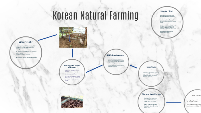 Korean Natural Farming by Makana Ako on Prezi