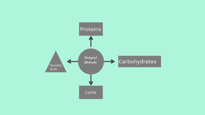 AP Bio Concept Map by Charu Murdock on Prezi
