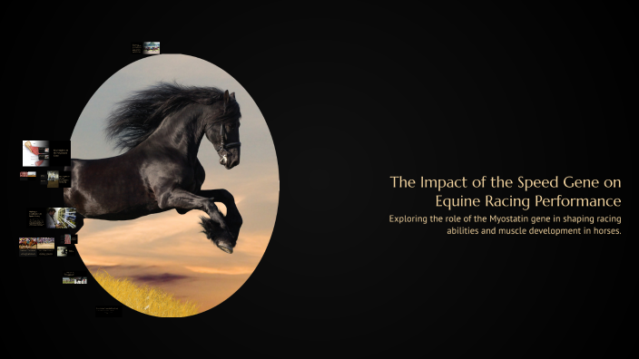 The Impact of the Speed Gene on Equine Racing Performance by MARÍA JOSÉ ...