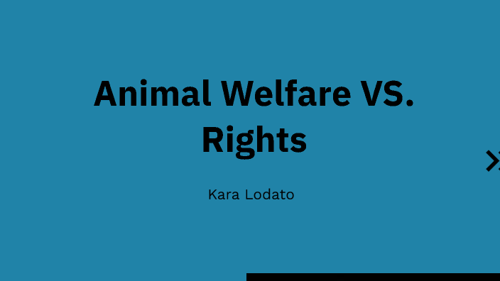 Animal Welfare VS. Rights by Kara Lodato on Prezi