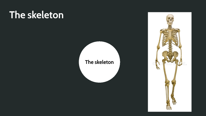7th: SH SCI C3.5 Skeleton by M Villanueva on Prezi