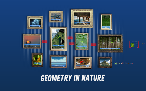 Geometry In Nature by Haide Verdin on Prezi