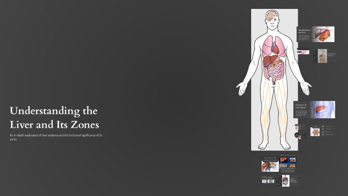 Understanding the Liver and Its Zones by Sara Xhemalaj on Prezi