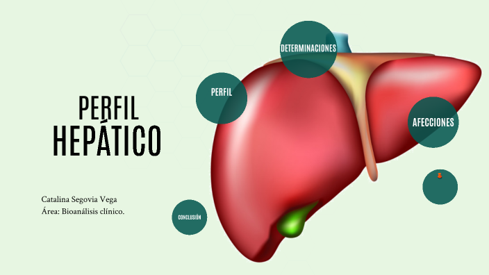 PERFIL HEPÁTICO by Catalina Segovia Vega on Prezi