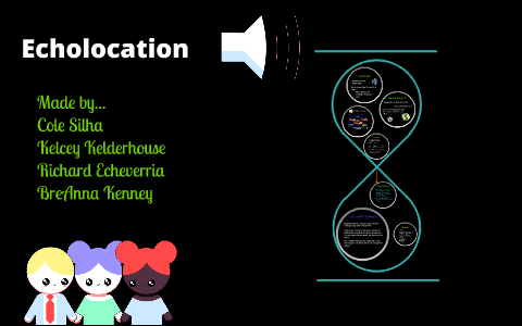 Echolocation examples by BreAnna Kenney on Prezi