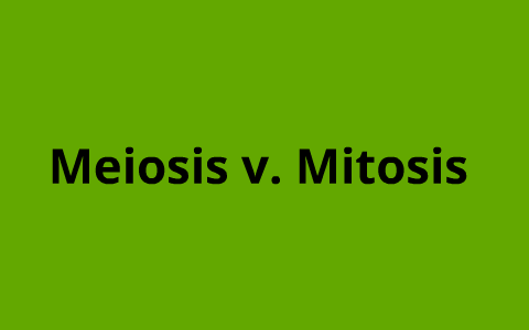 meiosis by jack senft