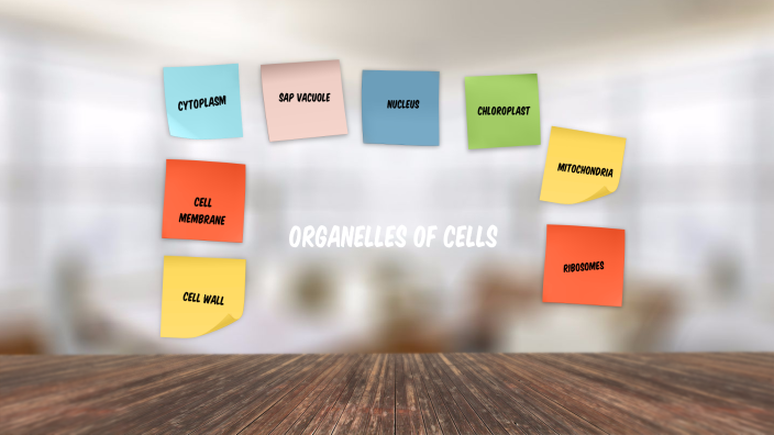 organelles and cell specialisation by Sadaf Riaz on Prezi