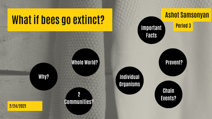 What if bees go extinct? by Ashot Samsonyan on Prezi
