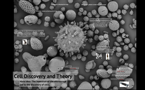 Cell Discovery and Theory by Jennifer Paschall on Prezi