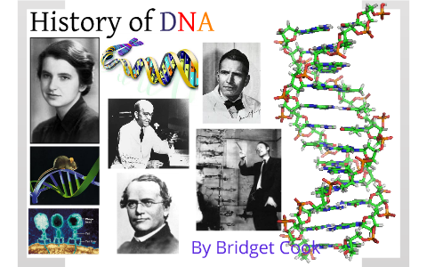 History of DNA Timeline by Bridget Cook on Prezi