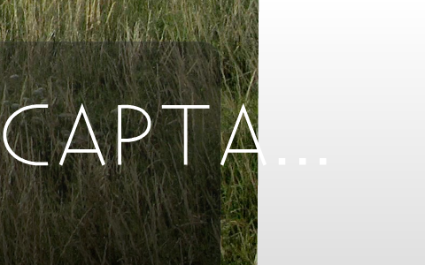 Child Abuse Prevention and Treatment Act (CAPTA) of 1974 by Emily ...