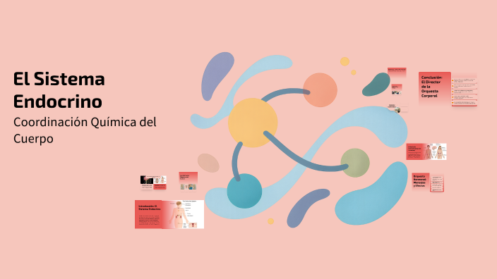 El Sistema Endocrino by dulce milagro martinez argueta on Prezi