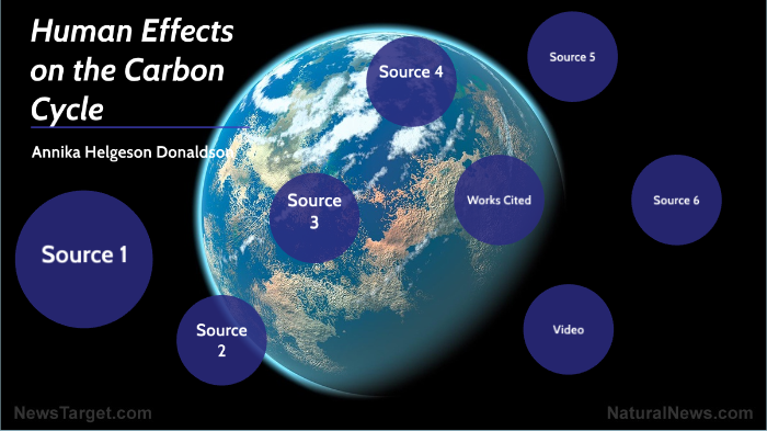 Human Effects on the Carbon Cycle by Annika Helgeson Donaldson on Prezi