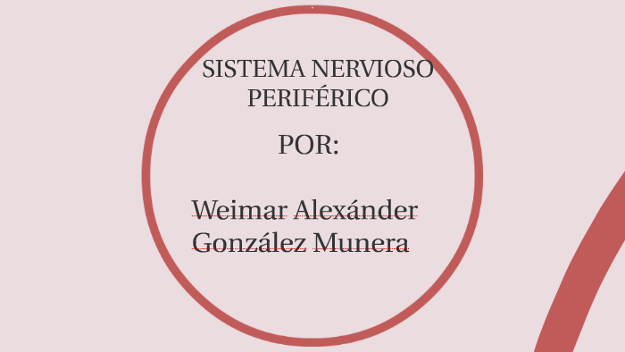 SISTEMA NERVIOSO PERIFÉRICO by Alexander Munera