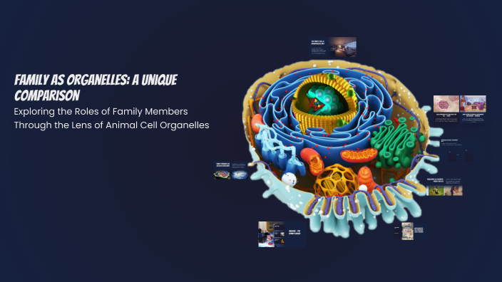 Family as Organelles: A Unique Comparison by Evan lott on Prezi