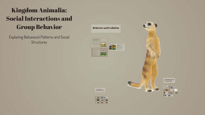 Kingdom Animalia: Social Interactions and Group Behavior by Tammy ...