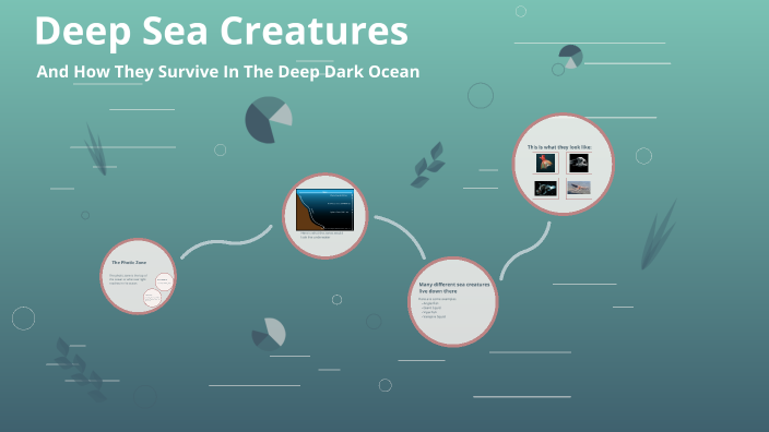 Deep Sea Creatures and How They Survive by Christian Vargas on Prezi